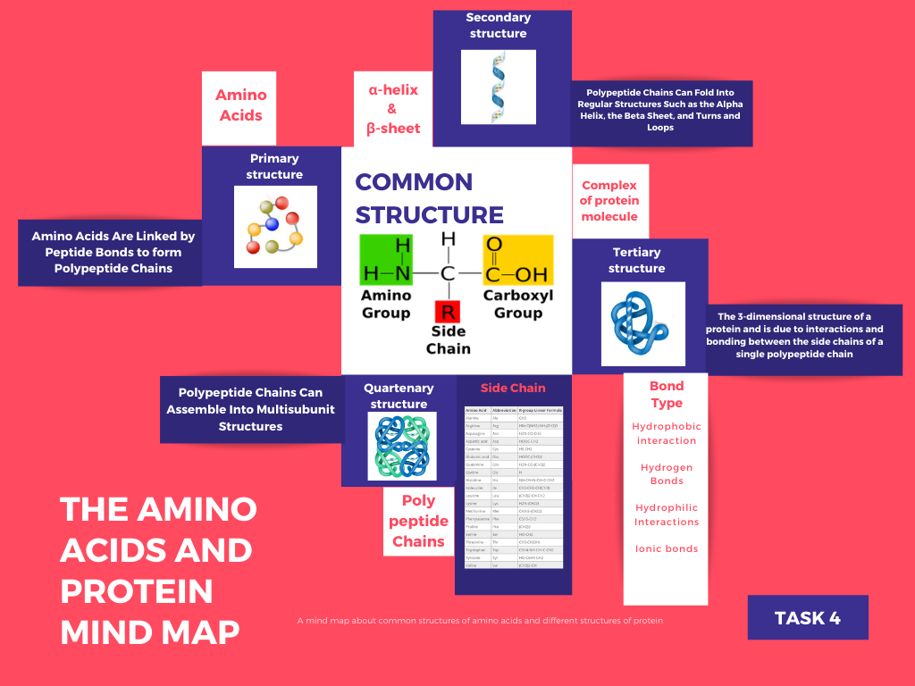 Task 4 – Aneshaa99’s Blog